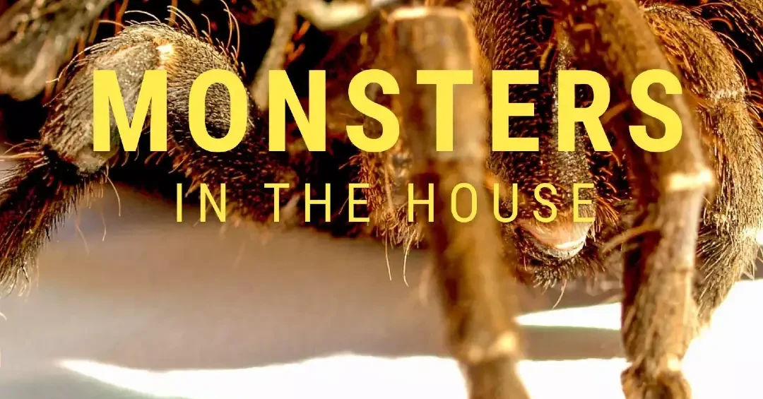 Monsters In The House (2021) | Jennifer Handorf